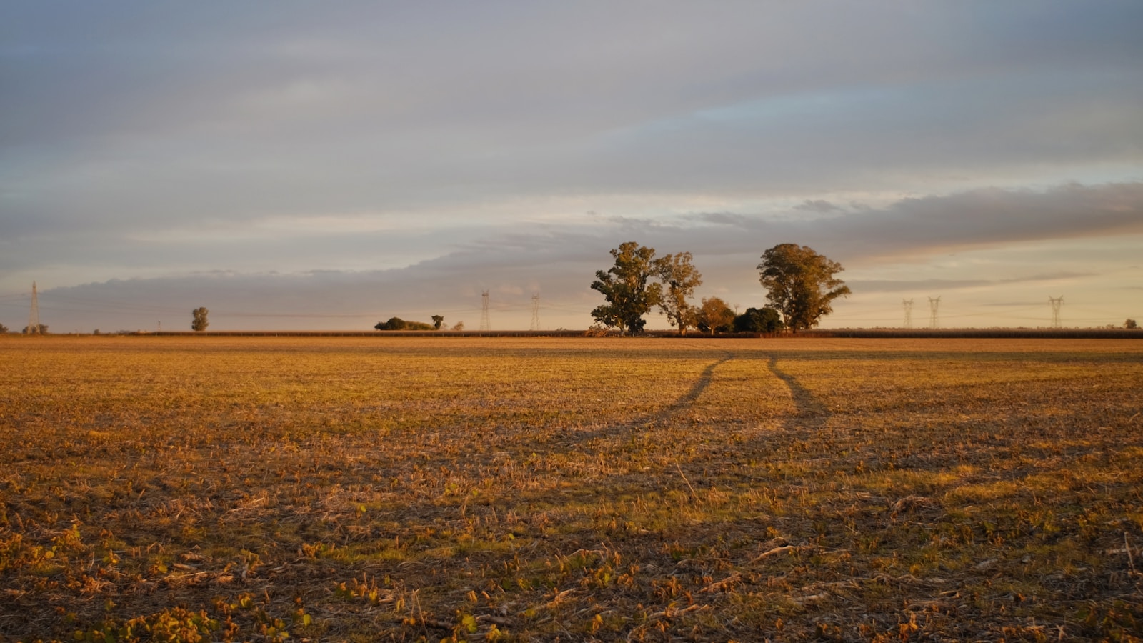 Convertir 1 Hectare en M2 : Guide Pratique et Astuces - Vintage & Moderne